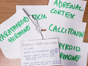 Using the Head's Up Game in Class to Increase Student Engagement ...