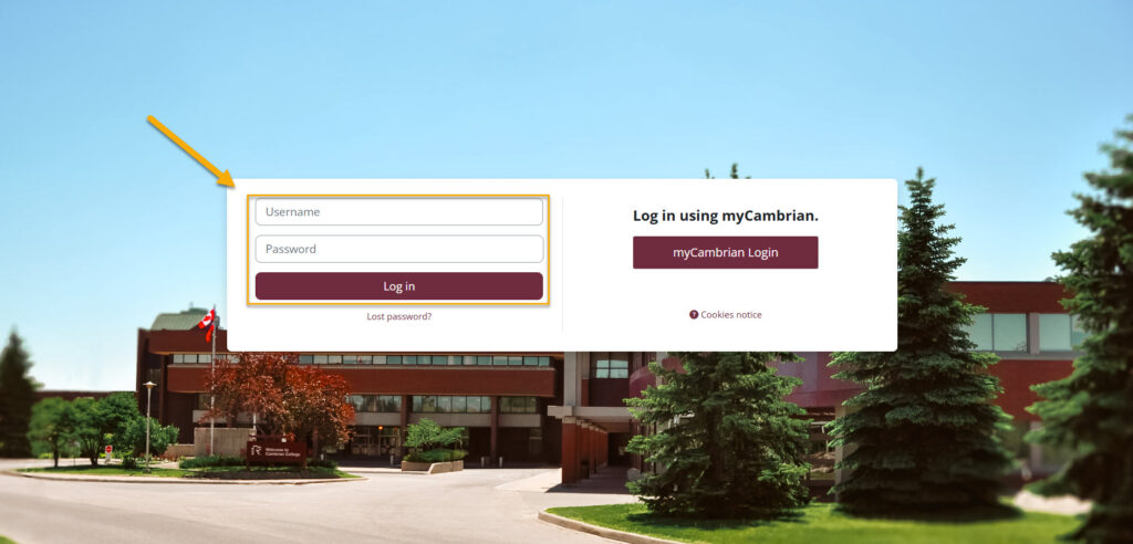 Moodle FAQ for Students | Cambrian College Teaching & Learning ...